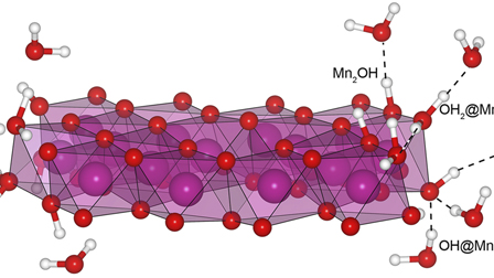 Acidity and metal complexation of edge surface of birnessite-type MnO2 ...