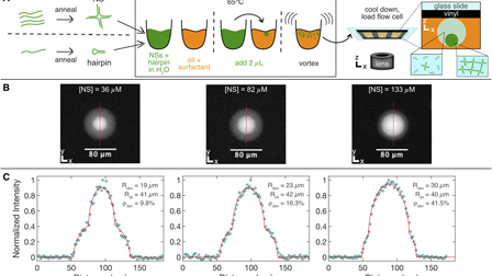 Emulsion imaging of a DNA nanostar condensate phase diagram reveals ...
