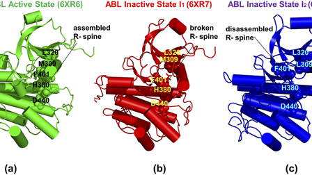 Probing conformational landscapes and mechanisms of allosteric communication in the functional ...
