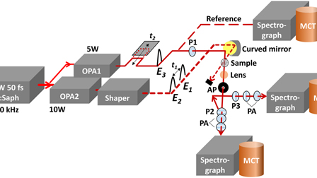 Ultrafast 2D-IR spectroscopy of intensely optically scattering pelleted ...