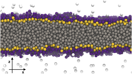 Surface viscosity in simple liquids | The Journal of Chemical Physics ...