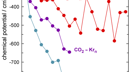 Doped rare gas clusters up to completion of first solvation shell, CO2 ...