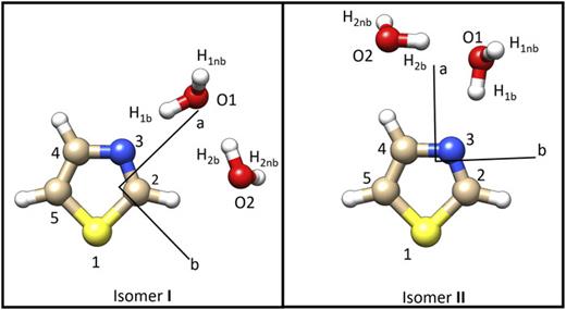 Cooperative hydrogen bonding in thiazole⋯(H2O)2 revealed by microwave ...