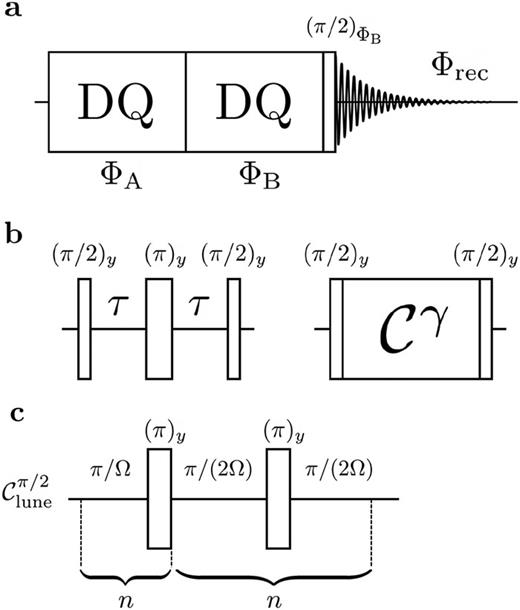 The Aharonov–Anandan phase and geometric double-quantum excitation in ...