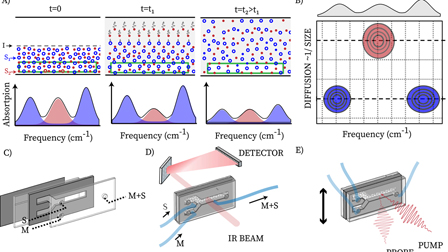 Multidimensional infrared diffusion-ordered spectroscopy in depletion ...