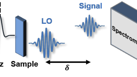 Extracting the sample response function from experimental two-dimensional terahertz-infrared ...