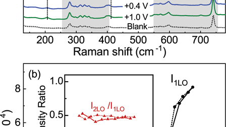 Tunable resonance Raman scattering of quantum dots in a nonlinear ...