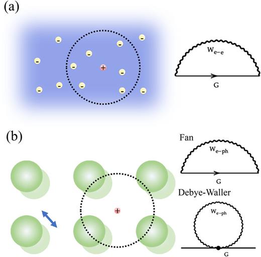 The electron–phonon renormalization in the electronic structure ...