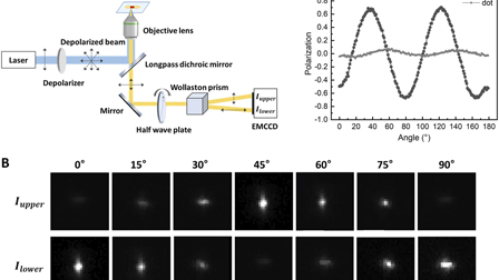 Volume 158 Issue 13 | The Journal of Chemical Physics | AIP Publishing