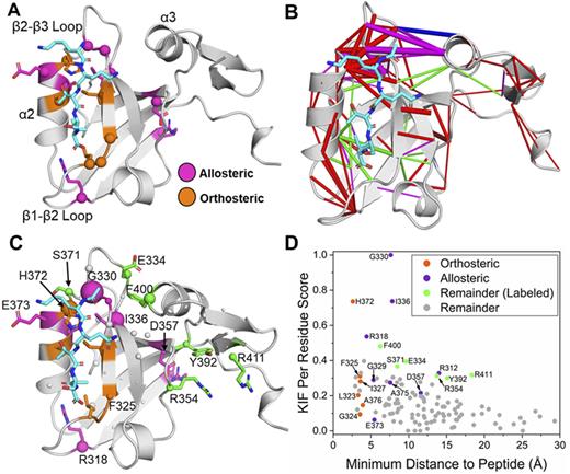 KIF—Key Interactions Finder: A program to identify the key molecular interactions that regulate ...