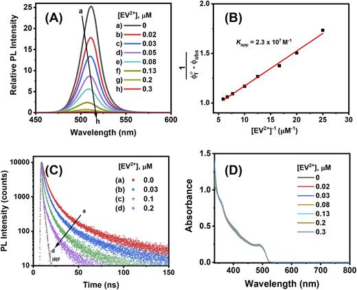 Photoinduced electron transfer across the polymer-capped CsPbBr3 ...