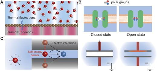 Nanofluidics at the crossroads | The Journal of Chemical Physics | AIP ...
