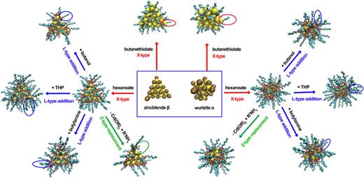 Ligand and solvent effects on the absorption spectra of CdS magic-sized ...
