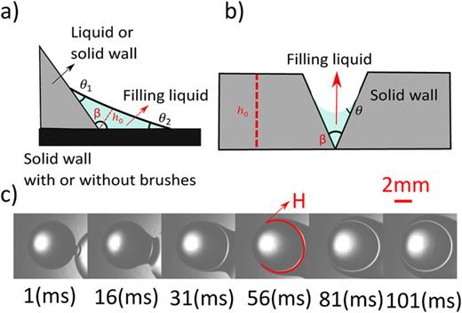 Dynamic wetting properties of PDMS pseudo-brushes: Four-phase contact ...
