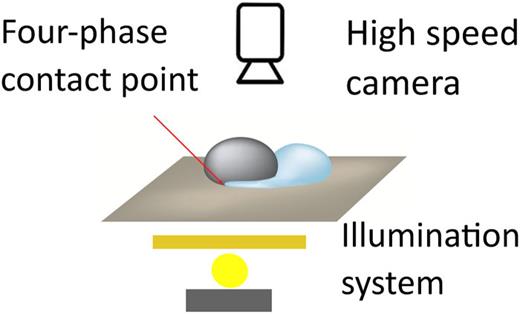 Dynamic wetting properties of PDMS pseudo-brushes: Four-phase contact point dynamics case | The ...