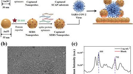 Ultrasensitive detection of SARS-CoV-2 S protein with aptamers biosensor based on surface ...