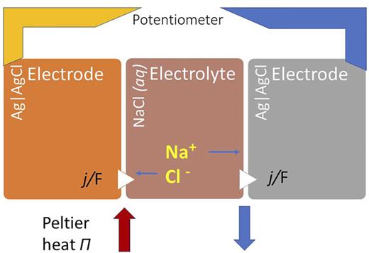 Seebeck, Peltier, and Soret effects: On different formalisms for ...