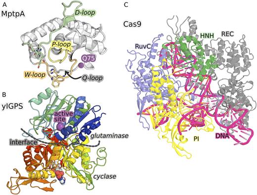 MDiGest: A Python package for describing allostery from molecular dynamics simulations | The ...