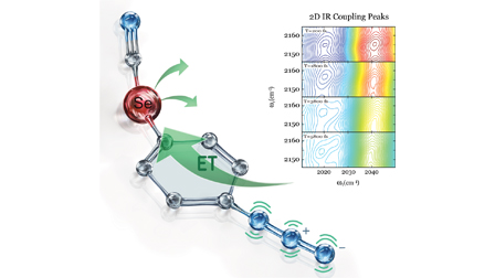 Inhibition of vibrational energy flow within an aromatic scaffold via ...