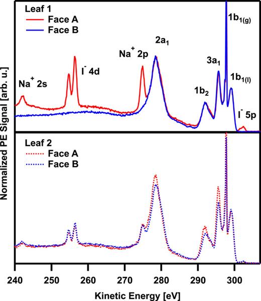 Photoelectron spectroscopy from a liquid flatjet | The Journal of ...
