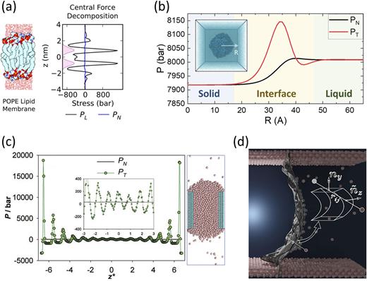 A perspective on the microscopic pressure (stress) tensor: History ...