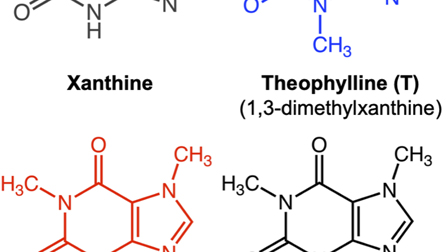 Vibrational relaxation by methylated xanthines in solution: Insights ...