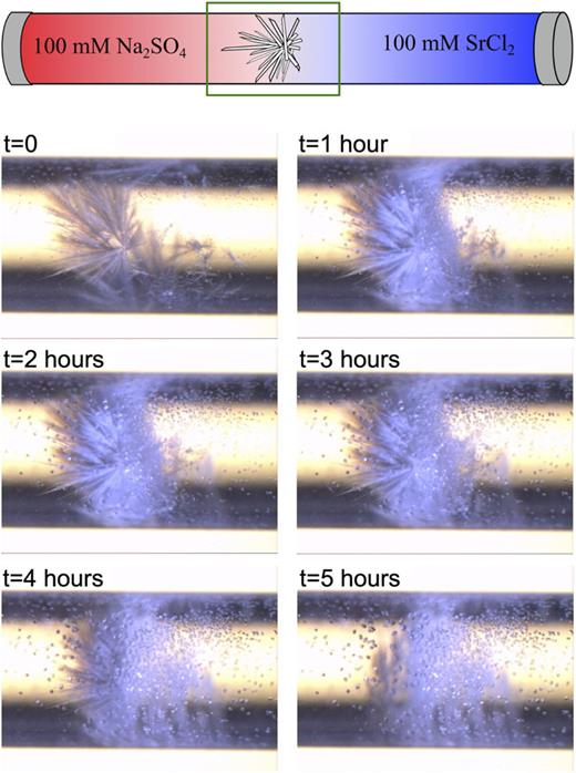 Deciphering strontium sulfate precipitation via Ostwald’s rule of ...