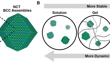 Improving nanoparticle superlattice stability with deformable polymer ...