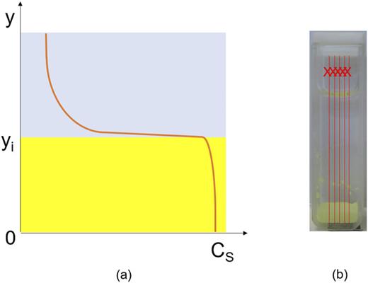 Solubility and dissolution kinetics of sulfur and sulfides in ...