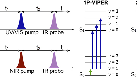 Vibrationally resolved two-photon electronic spectra including ...