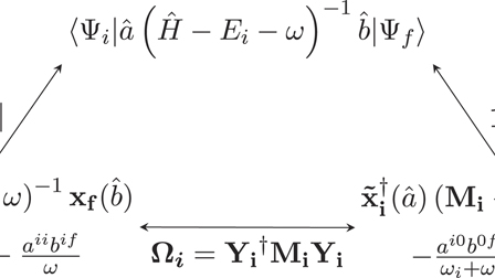 Solving response expressions in the ADC/ISR framework | The Journal of Chemical Physics | AIP ...