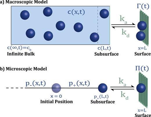 Microscopic theory of adsorption kinetics | The Journal of Chemical ...
