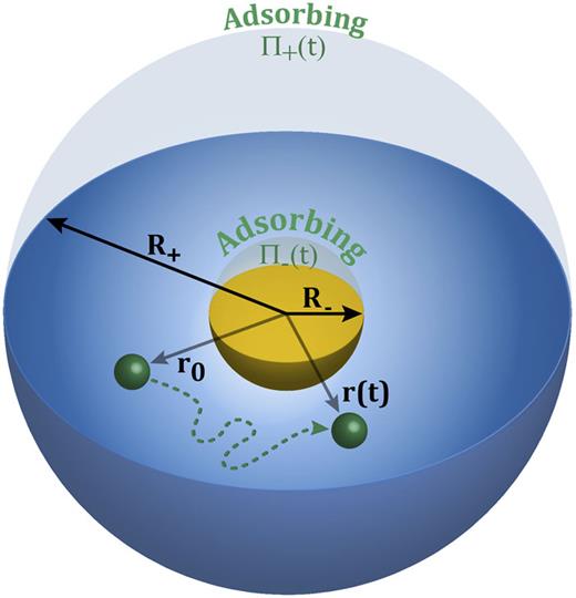 Microscopic theory of adsorption kinetics | The Journal of Chemical ...