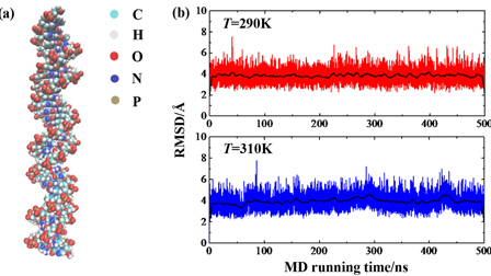 Temperature dependence of DNA elasticity: An all-atom molecular ...
