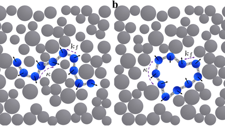 Active dynamics of linear chains and rings in porous media | The ...