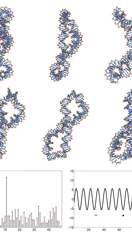 Spectral analysis of DNA superhelical dynamics from molecular ...