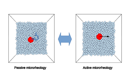 Active and passive microrheology with large tracers in hard colloids ...