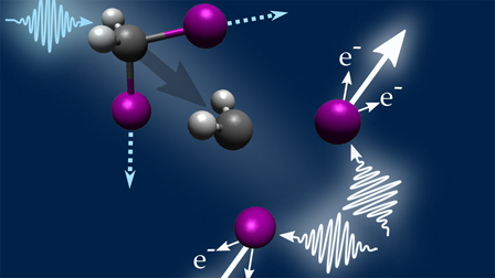 Characterizing the multi-dimensional reaction dynamics of ...