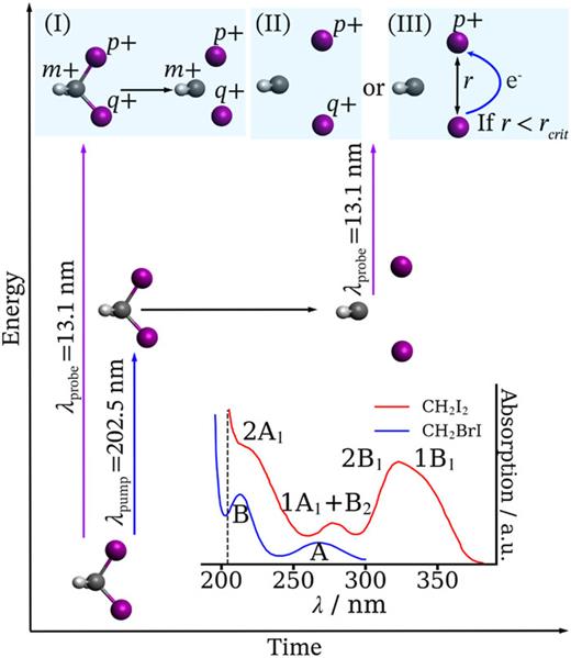 Characterizing the multi-dimensional reaction dynamics of ...