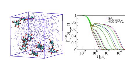 Glassy dynamics of water in TIP4P/Ice aqueous solutions of trehalose in ...