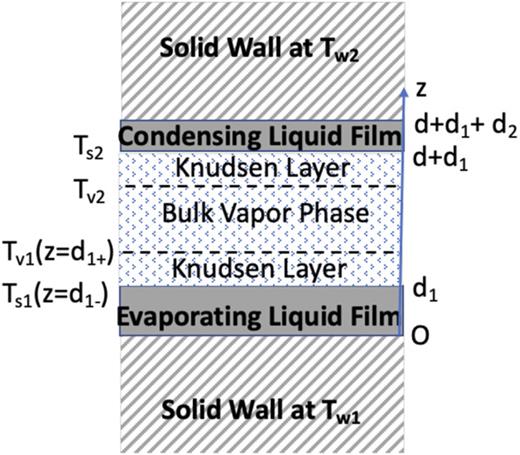 On paradoxical phenomena during evaporation and condensation between ...