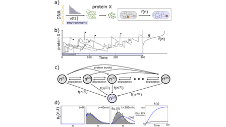 Stochastic chemical kinetics of cell fate decision systems: From single ...