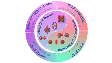 Simultaneous identification of strong and weak interactions with Pauli ...