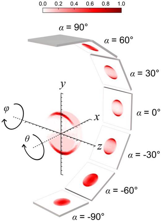 The importance of molecular axis alignment and symmetry-breaking in ...
