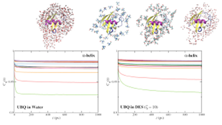 Protein stability in a natural deep eutectic solvent: Preferential ...