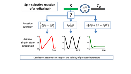 Evolution of spin coherence of radical pairs due to spin-selective ...