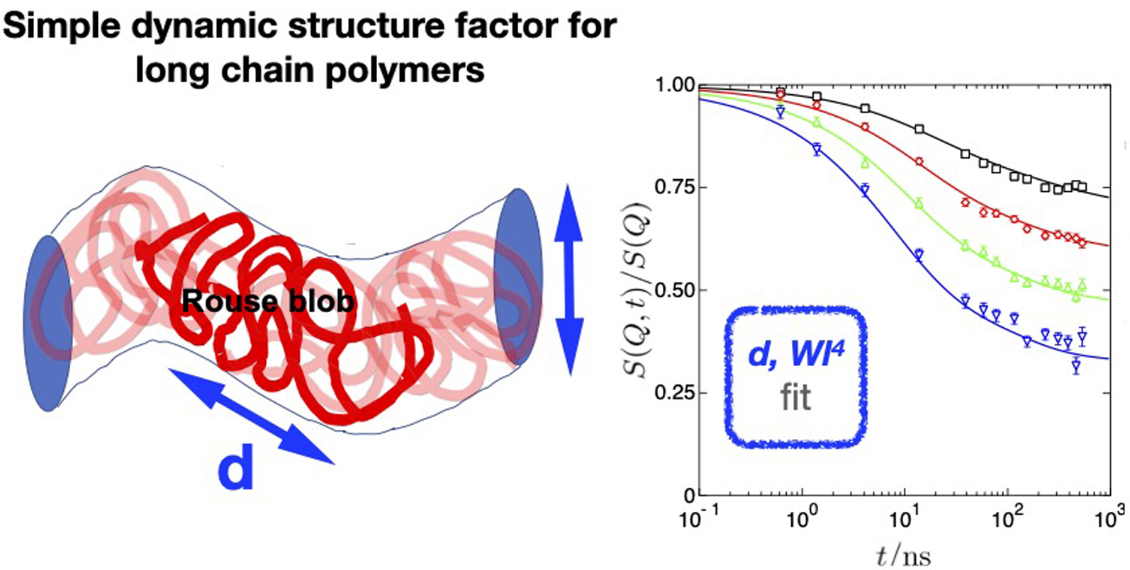 Dynamic structure factors of polymer melts as observed by neutron spin echo: Direct comparison ...