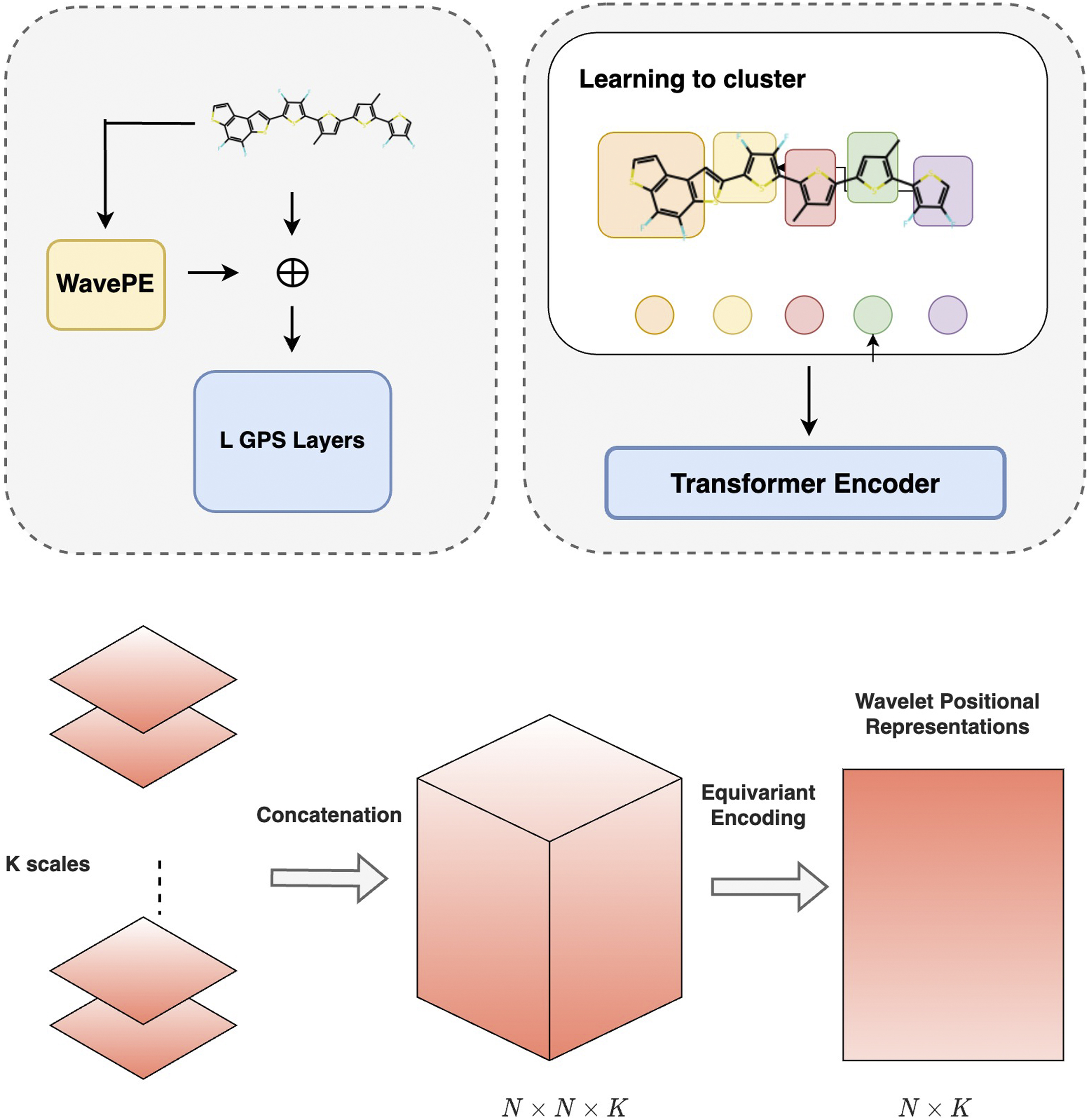 Multiresolution graph transformers and wavelet positional encoding for ...