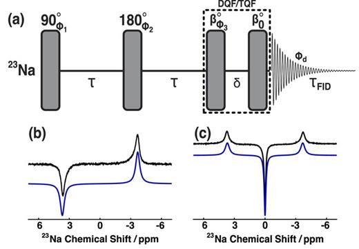 Multiple quantum filtered nuclear magnetic resonance of 23Na+ in ...