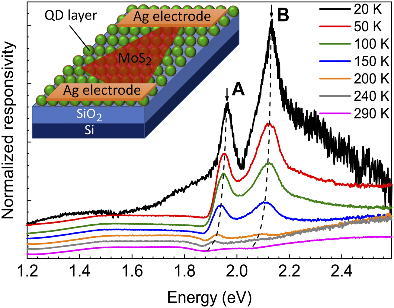 Enhanced photoconductivity of hybrid 2D-QD MoS2–AgInS2 structures | The ...